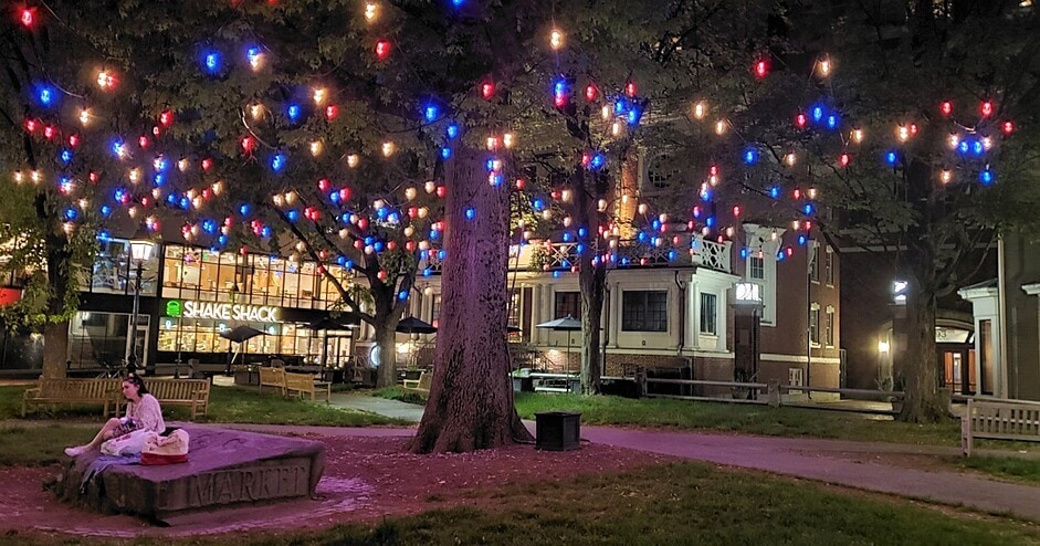 Harvard Square Bedecked in Red, White and Blue - Harvard Square
