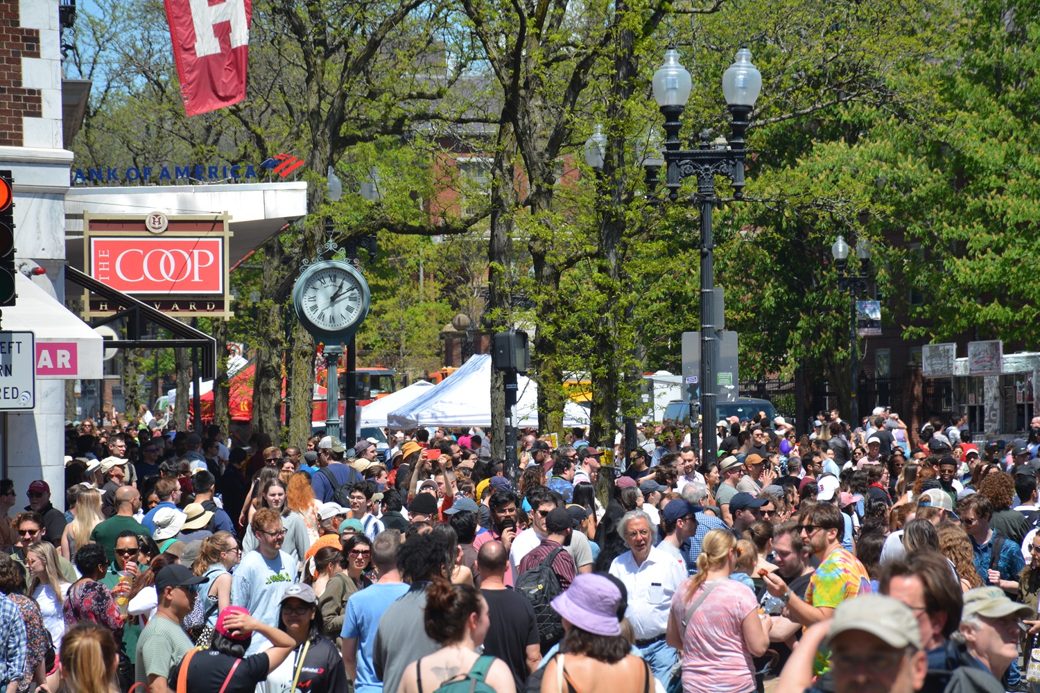 39TH Annual MayFair Applications Now Available - Harvard Square
